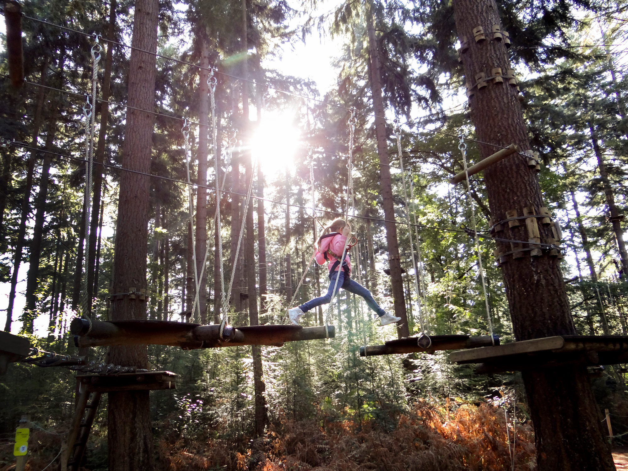 Vereinsausflug Klimbos Apeldoorn - Klimbos