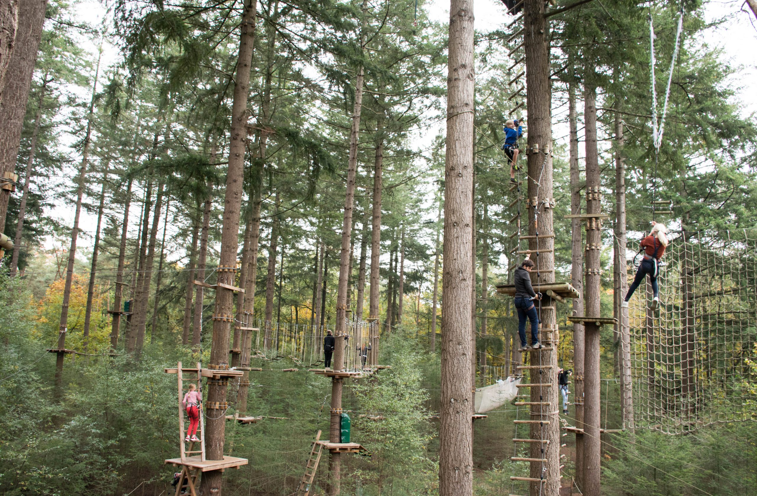 Zo bezoek je veilig het Klimbos tijdens de coronamaatregelen - Klimbos